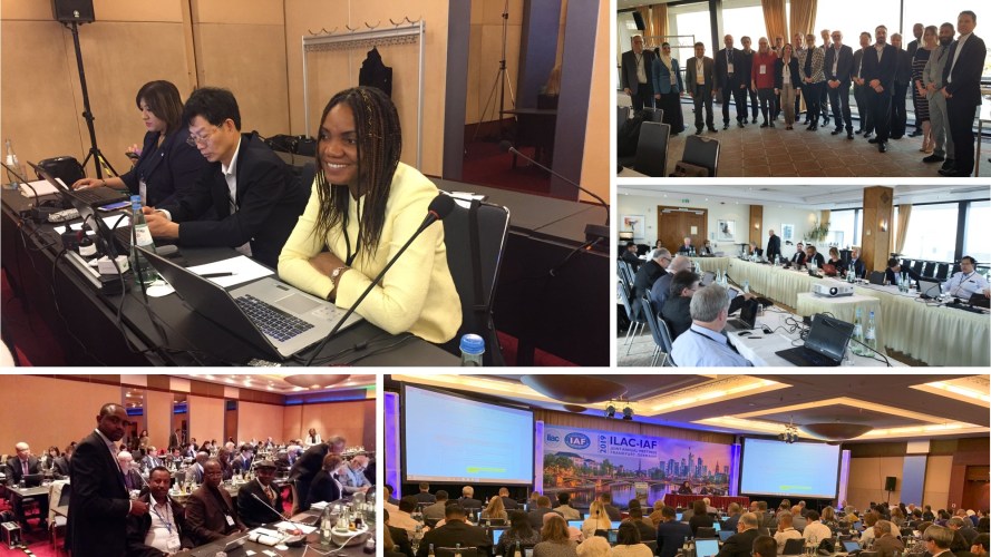 The IAF MLA continues to grow – IAF Outlook