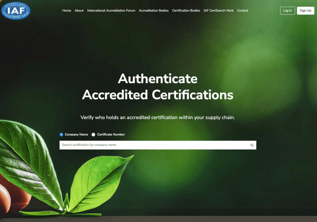 CBs Are Working Hard to Meet the IAF MD Deadline – IAF Outlook