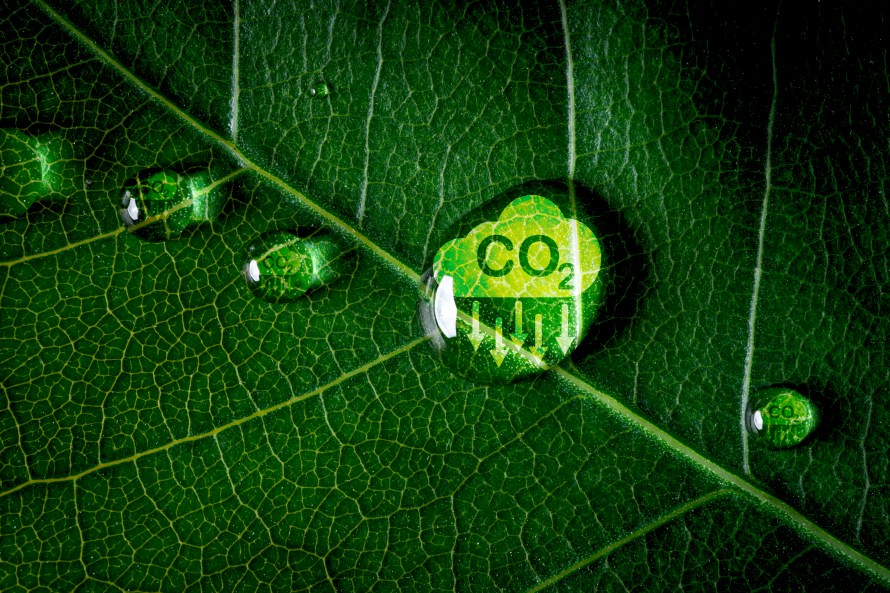 IAF Extends Multilateral Recognition Arrangement to ISO 14067 – IAF Outlook